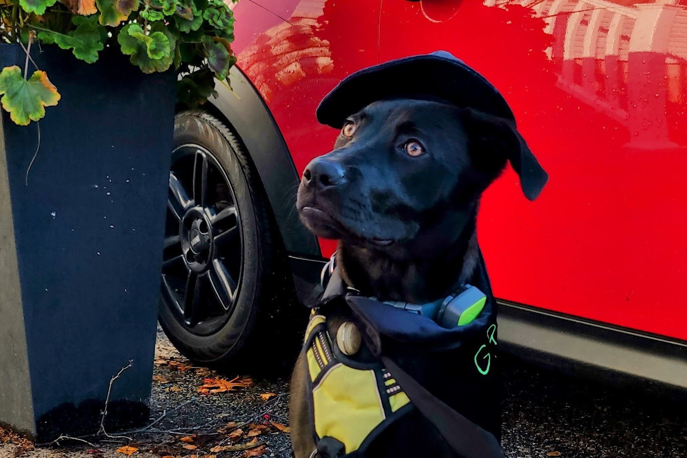 Querying SERVERPROPERTY() and DATABASEPROPERTYEX() from a view (without ...