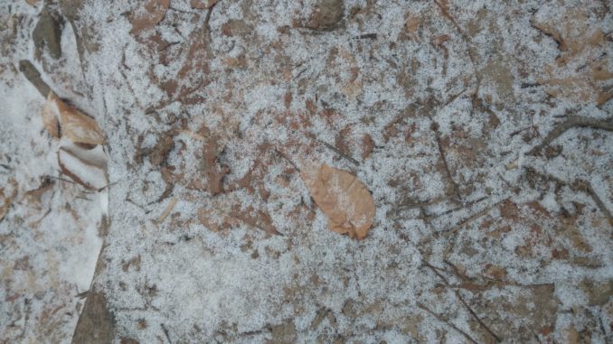 TSQL Tuesday #99: SQL Tourism - Andy M Mallon - AM²